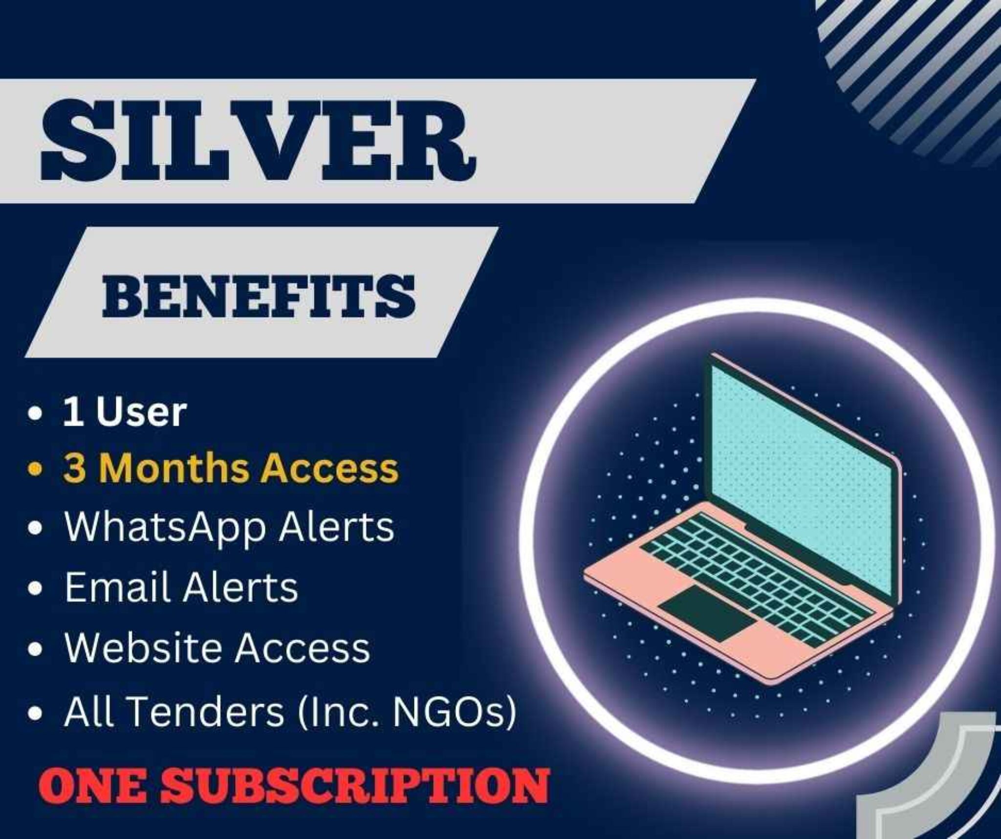 Silver (3 Months Access) - Tenderlink